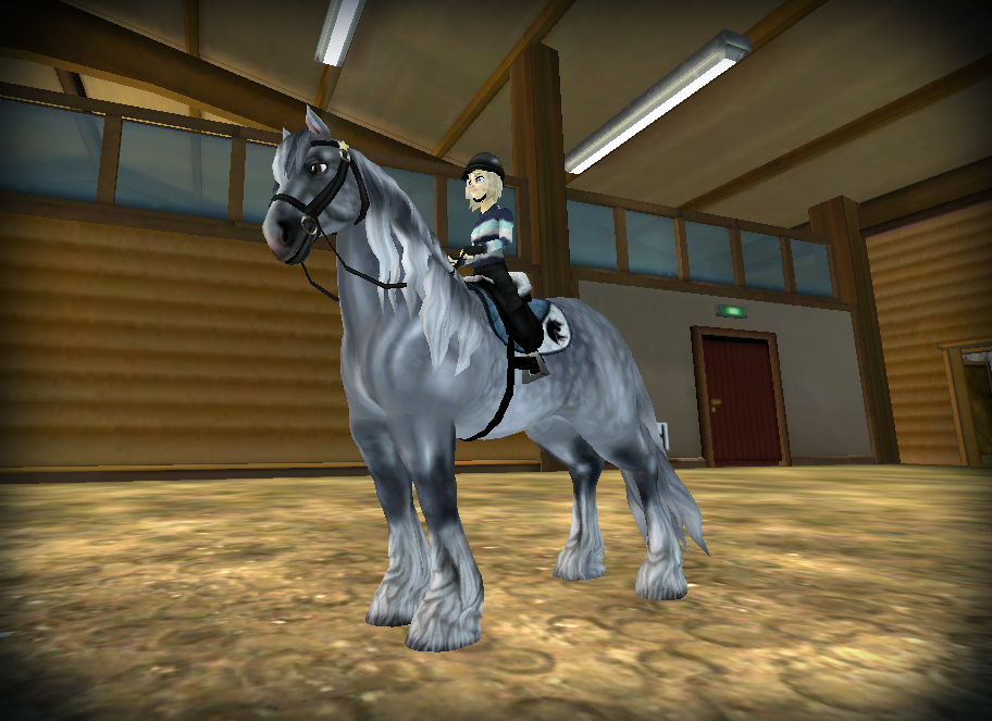 SSO - Luna Catsea: Moje konie