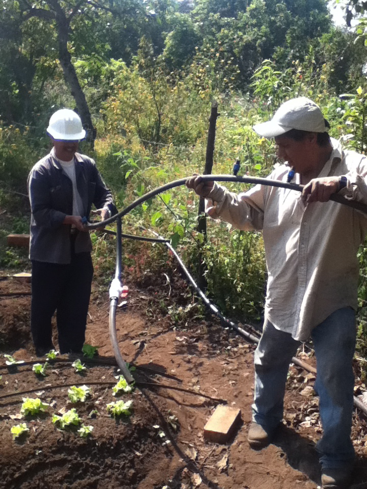 Autumn/Winter in the Land of Eternal Spring: