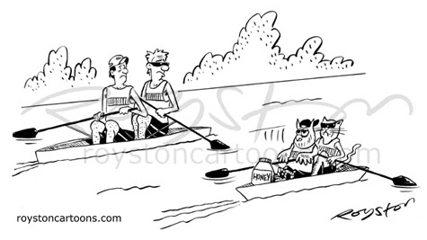 Royston Cartoons: Cartoon for Henley Regatta exhibition