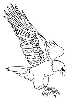 Agim Mato: SHQIPONJA