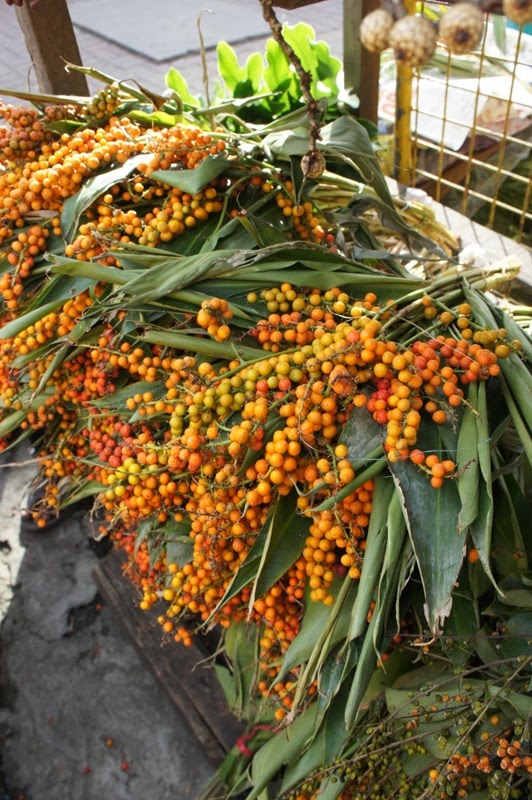 OUR PHILIPPINE TREES: Cut Fruits!