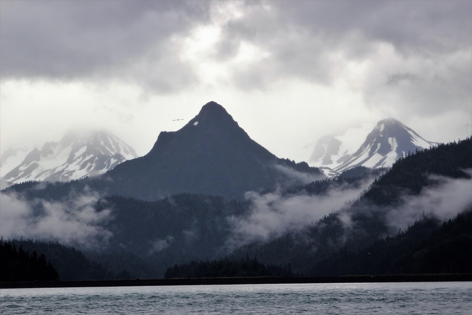 Souvenir Chronicles: HOMER, ALASKA: GULL ISLAND