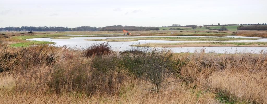Mick's Blog: Trimley Marshes Nature Reserve