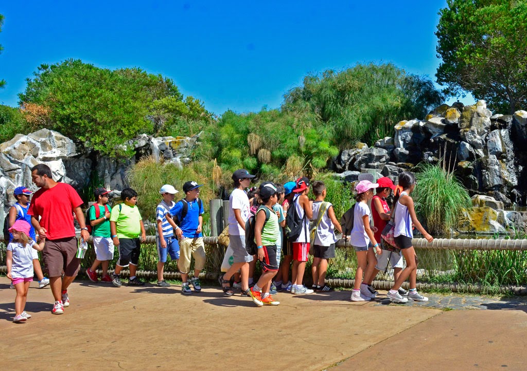 Los chicos de las colonias de verano de San Fernando visitaron el ...