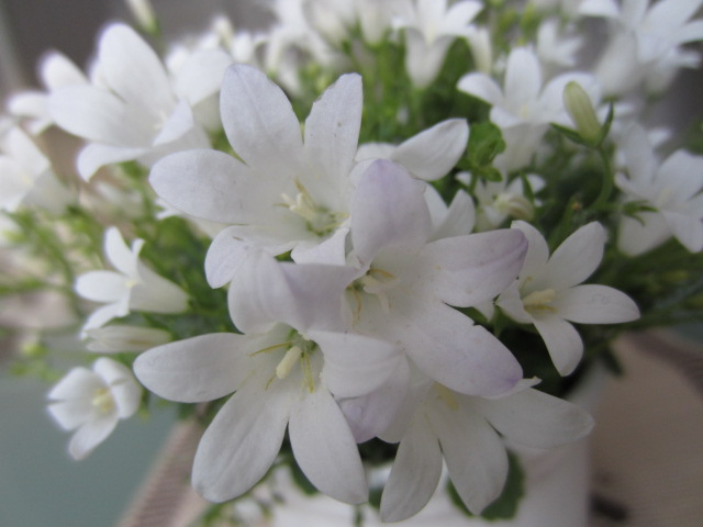 Hantverkarglädje : Vita blommor och temlor