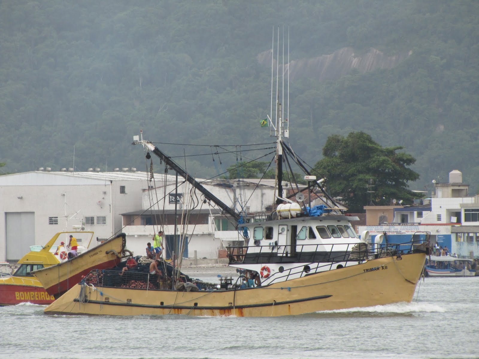 Navios em Santos: Alguns pesqueiros em Santos.