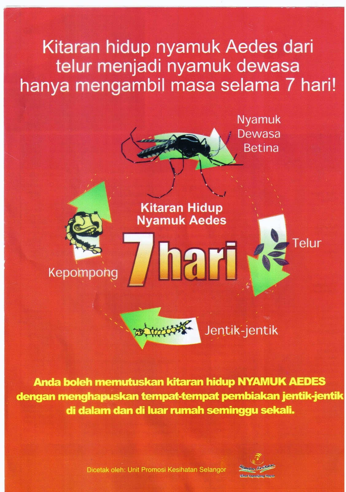 Kelas Pra Azam: MESEJ 5 MINIT TENTANG PENCEGAHAN DENGGI BAGI PELAJAR ...