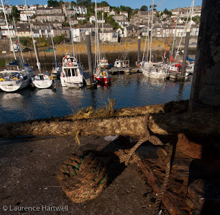Through the Gaps! - Newlyn Fishing News: Cornish Fish - Feeding the ...