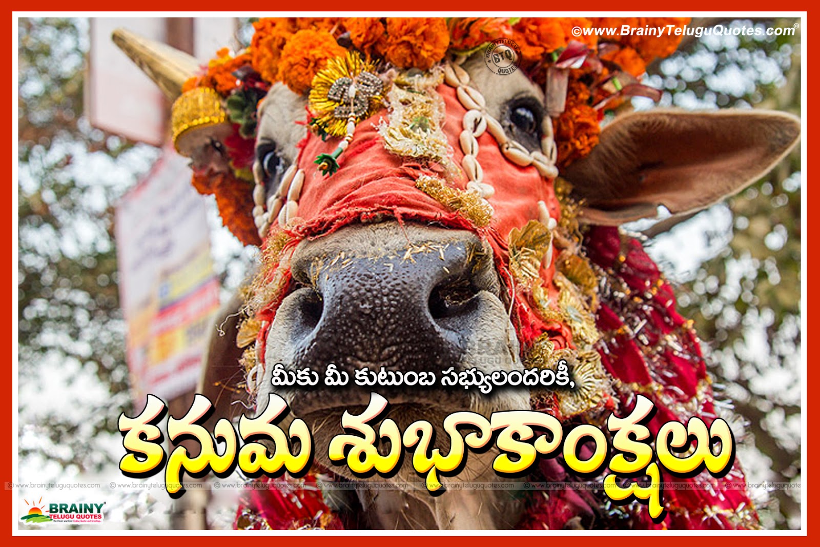 2017 Advanced Kanuma Greetings in Telugu-Kanuma Telugu Wallpapers ...