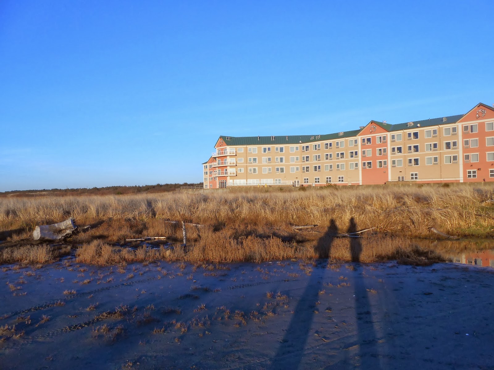 50 Days, 500 Miles, and 5 States When I Turn 50: Solving the Mystery of ...