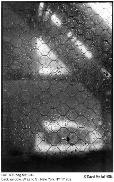 Focus on Photography: David Vestal: 1924 - 2013