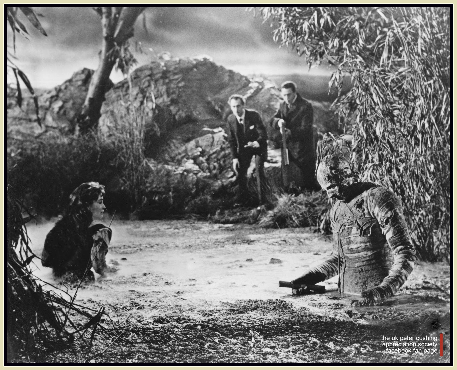 PETERCUSHINGBLOG.BLOGSPOT.COM (PCASUK): WHY HAMMER FILMS THE MUMMY ...