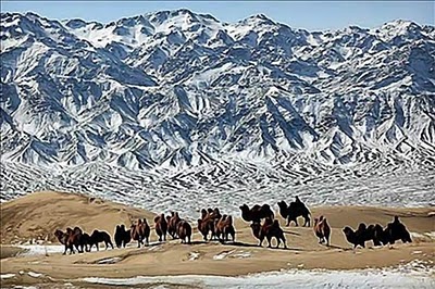 Gobi Desert: Climate of Gobi Desert