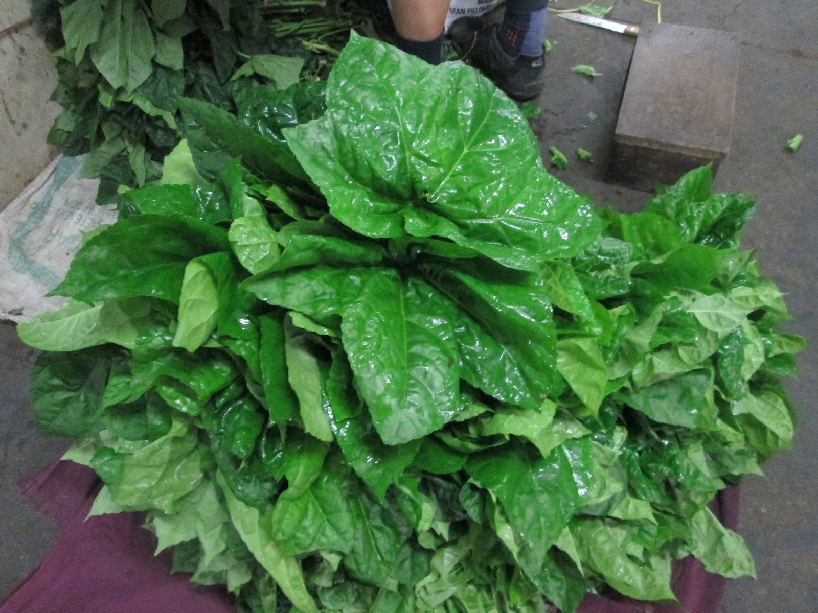 Garden Notes from Hawaii: SEARCHING FOR BELE IN FIJI (Abelmoschus manihot)