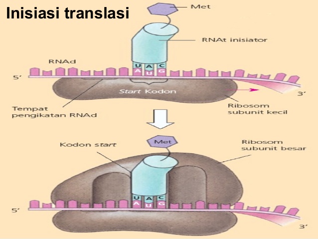 SCIENCE ARTICLES: Desember 2015