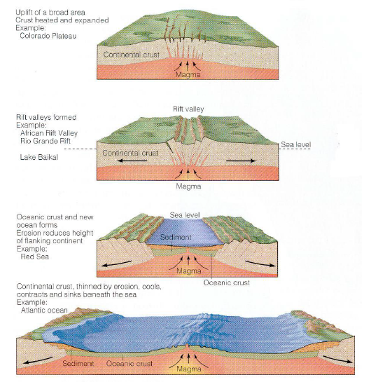 ILMU KELAUTAN ULM: Pembentukan Lautan