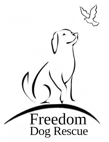 Freedom Dog Rescue's Blog: Fosters and Alumni of Freedom Dog Rescue ...