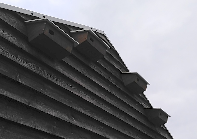 Action for Swifts: First deployment of Model 30 Swift boxes