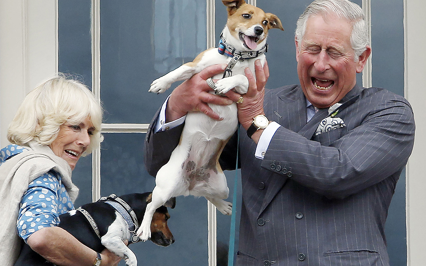 NUNCAJAMAS COCKER: LA REALEZA BRITANICA Y SUS PERROS