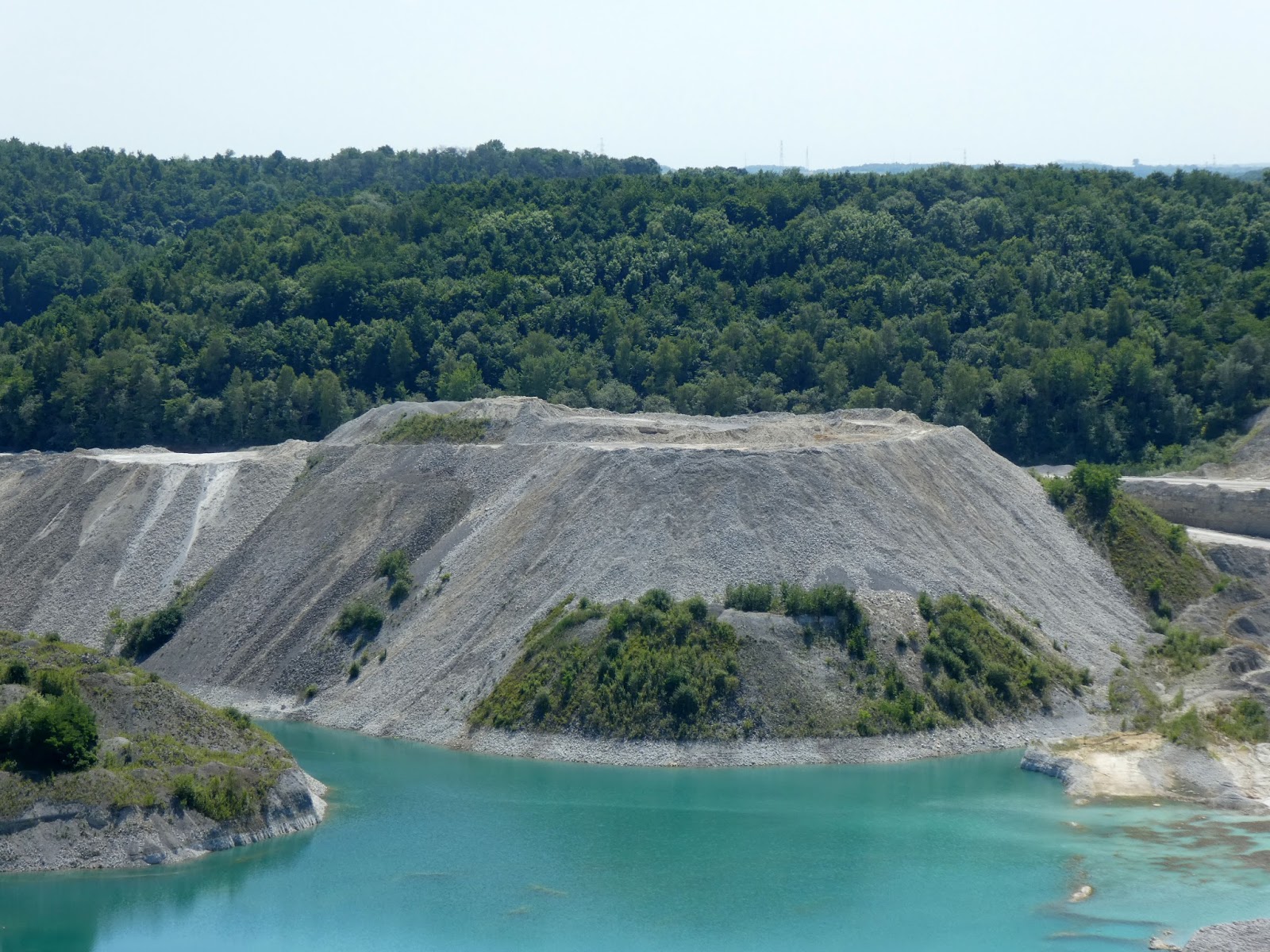 joachimartist: the shepherd of Mount Saint Peter