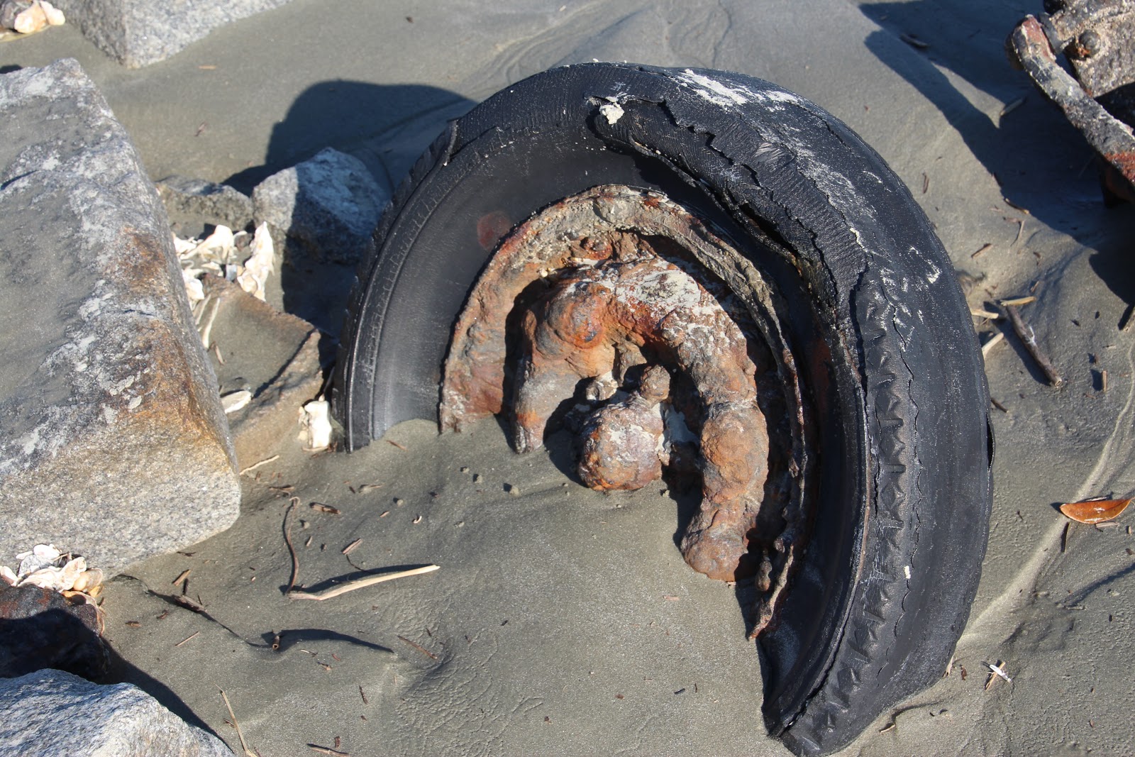 VISUAL SAINT PAUL: Beach Detritus