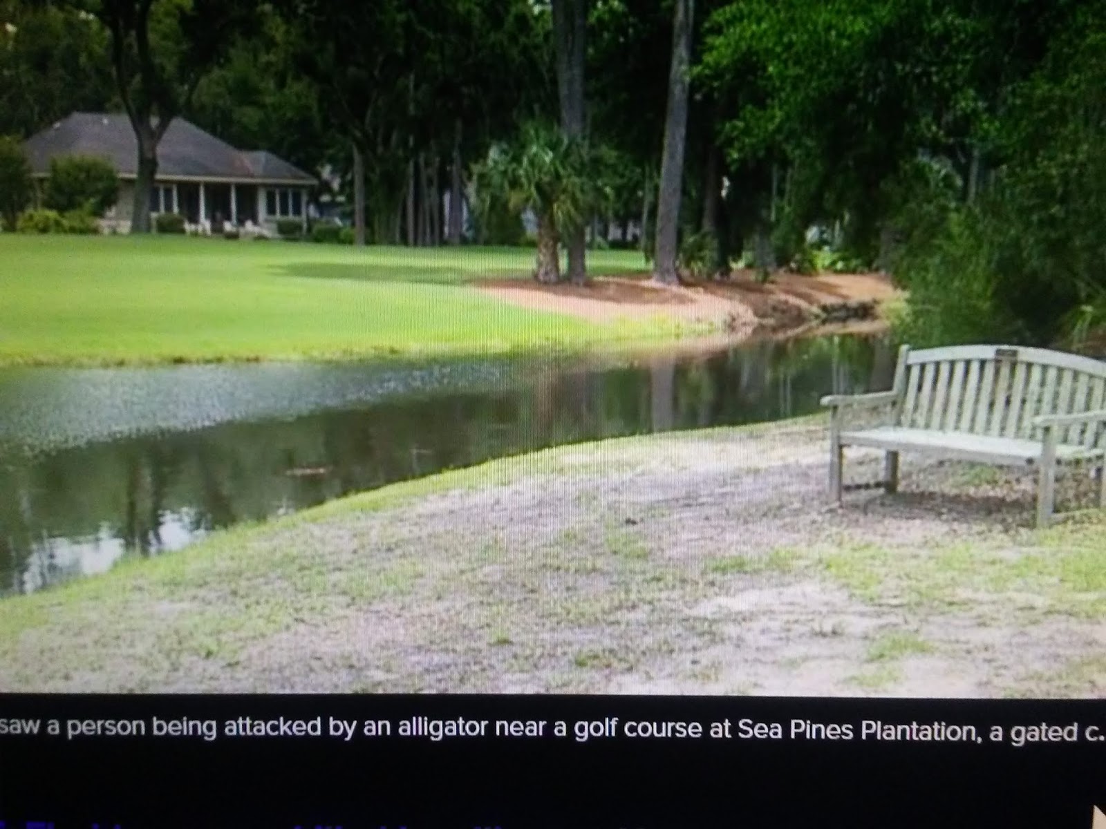 The Last Tradition: Woman killed in apparent alligator attack would be ...