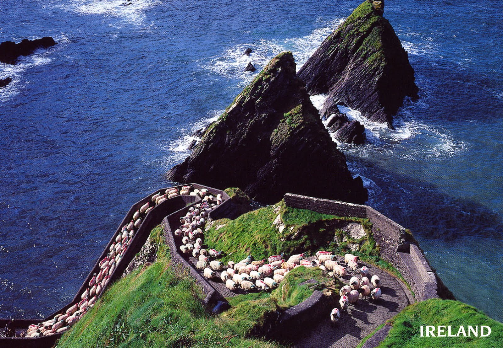 IRLANDESES EN LA PLATA: DUNQUIN PIER, CONDADO DE KERRY