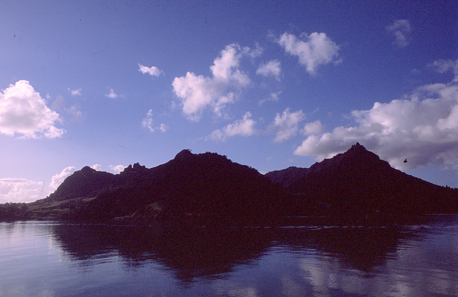 'ZIEN EN WETEN': NATICINA M.S. SHELL TANKERS B.V. (DEEL 1/1)