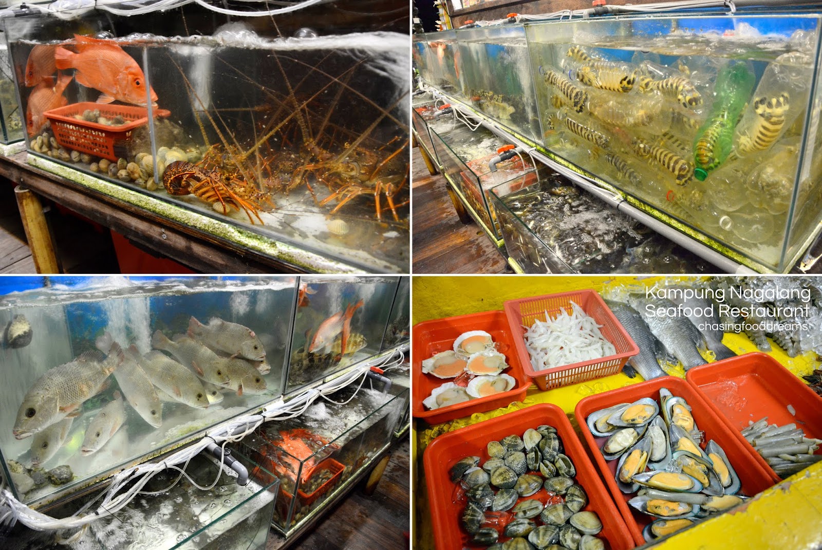 CHASING FOOD DREAMS: Fly Me To Labuan Part 3 – Where to Eat in Labuan