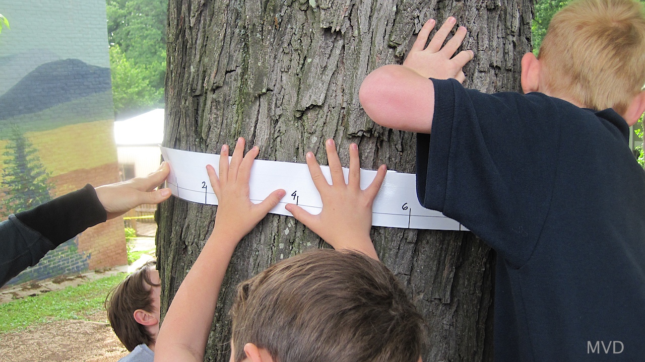 Green STEM Learning: Oak Trees and Acorns as Teaching Tools