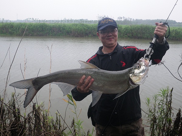 ANGLING WORLD 魔魚釣界: Monster Fish in China - Yellow Cheek!!