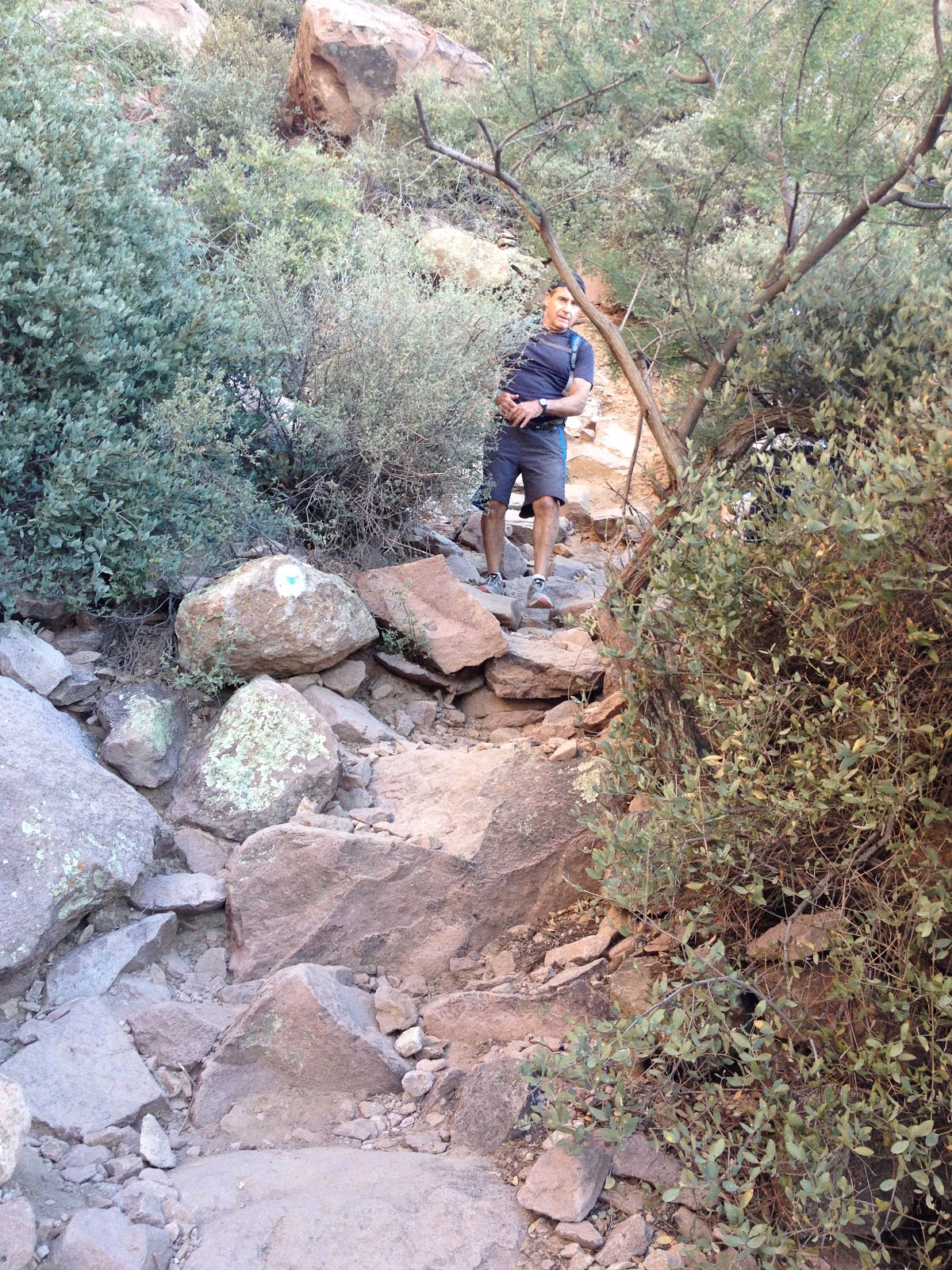50 Hikes for 2012-13: Hike #3 - Siphon Draw, Apache Junction, AZ