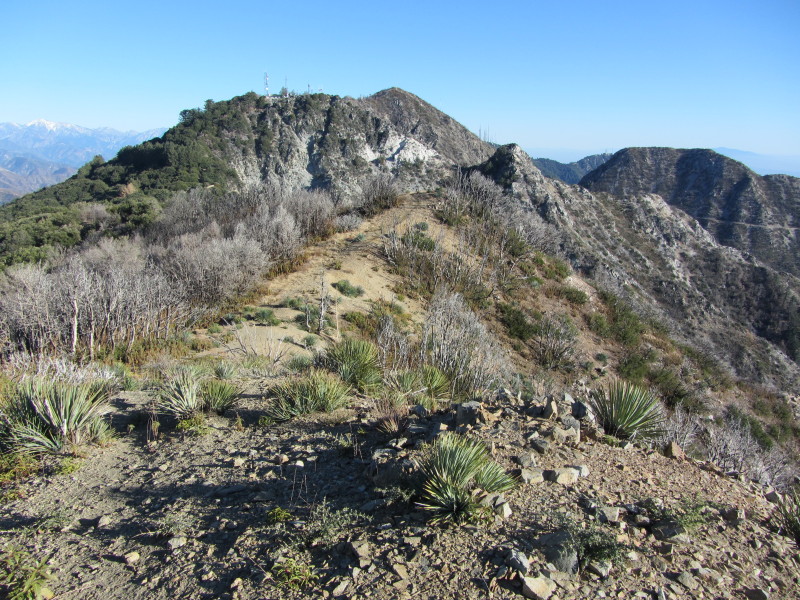 Dan's Hiking Blog: San Gabriel, Disappointment, Deception - November 25 ...