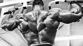 How To Build Monster Arms | bodybuilding