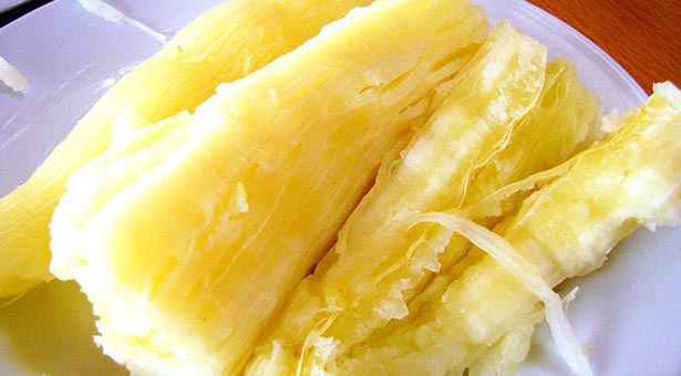 SALUD | Conozca la diferencia entre la Yuca Amarga y la Dulce.