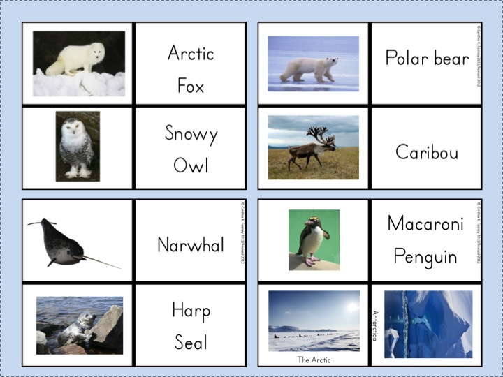Blog Hoppin': Polar Animals Unit Revised and a thank you to Blog Hoppin'!