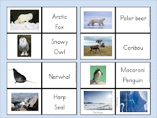 Blog Hoppin': Polar Animals Unit Revised and a thank you to Blog Hoppin'!