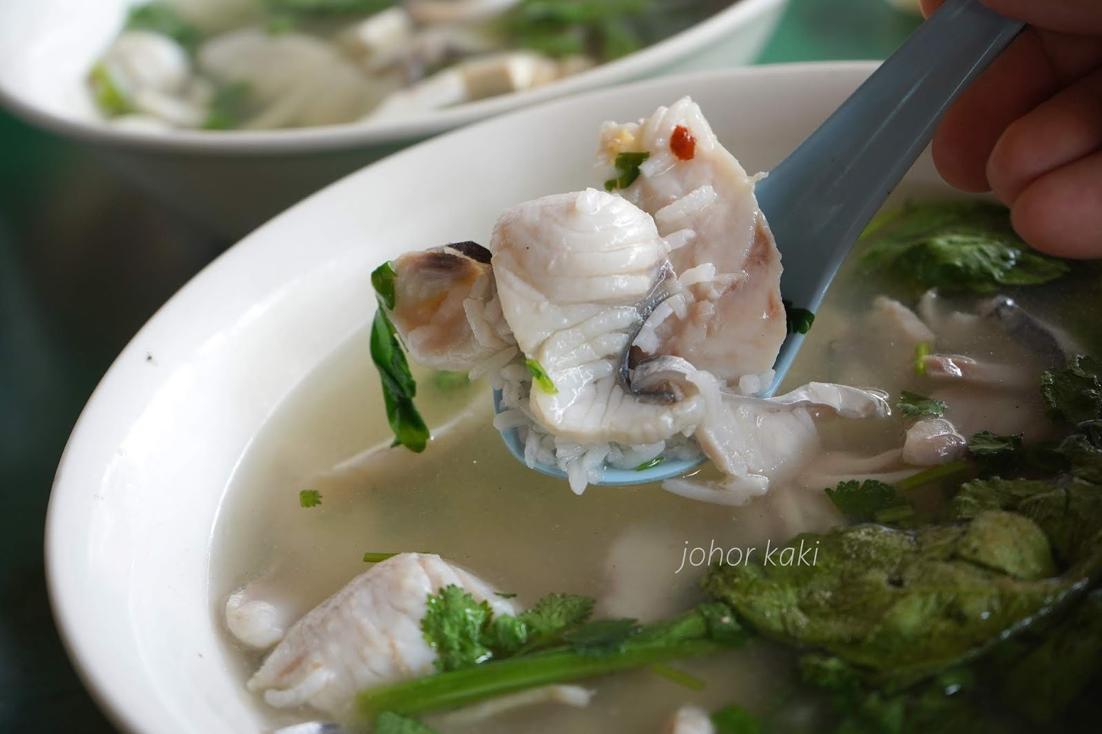 Which is the Most Popular Fish Soup Stall @ Maxwell Food Centre? Yi Jia ...
