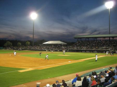 Evil Empire Yankees Blog: Introducing Your 2012 Charleston River Dogs ...