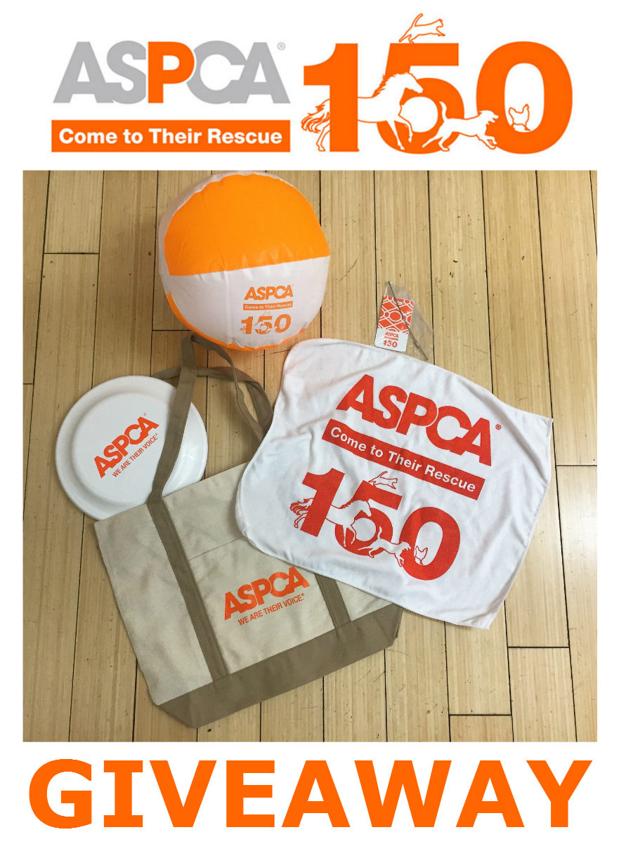 Pet Blog By Bocci @ Bocci's Beefs: Pledge To Help Animals —And Win An ...