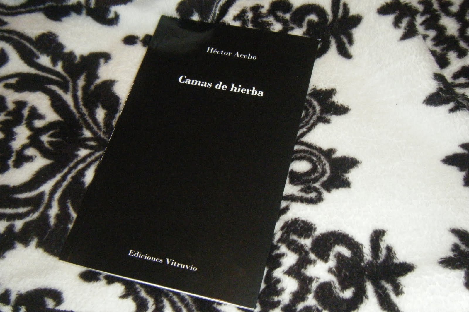 La Llave de los Campos: febrero 2013