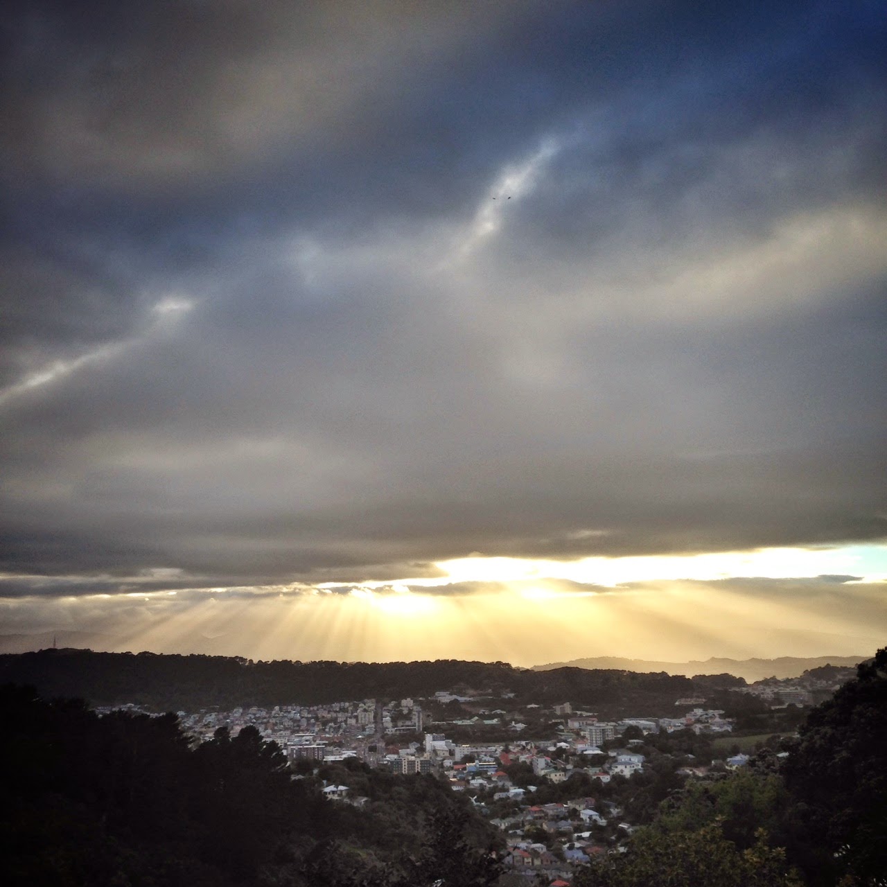 Learning the hard way.... and searching for a silver lining | the ...