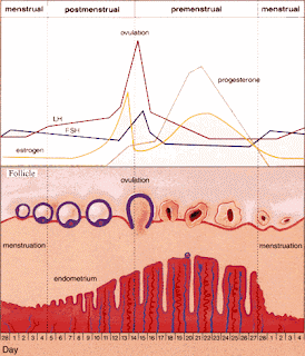Natural Birth Control