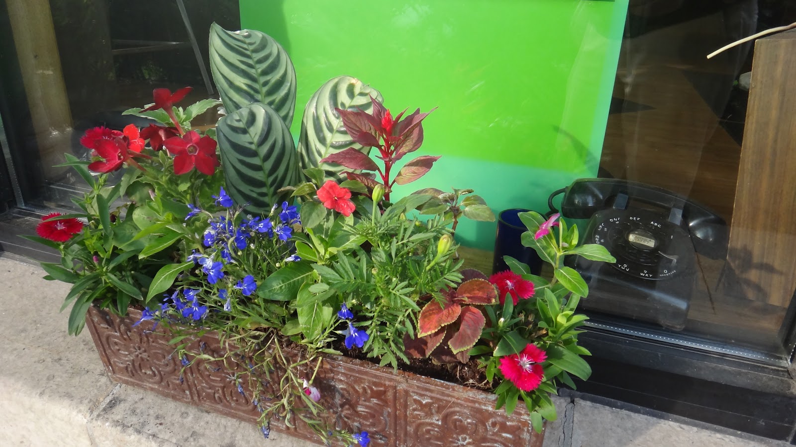 Rogers Park Chamber of Commerce: Tu-Bloom at Quest Network Services