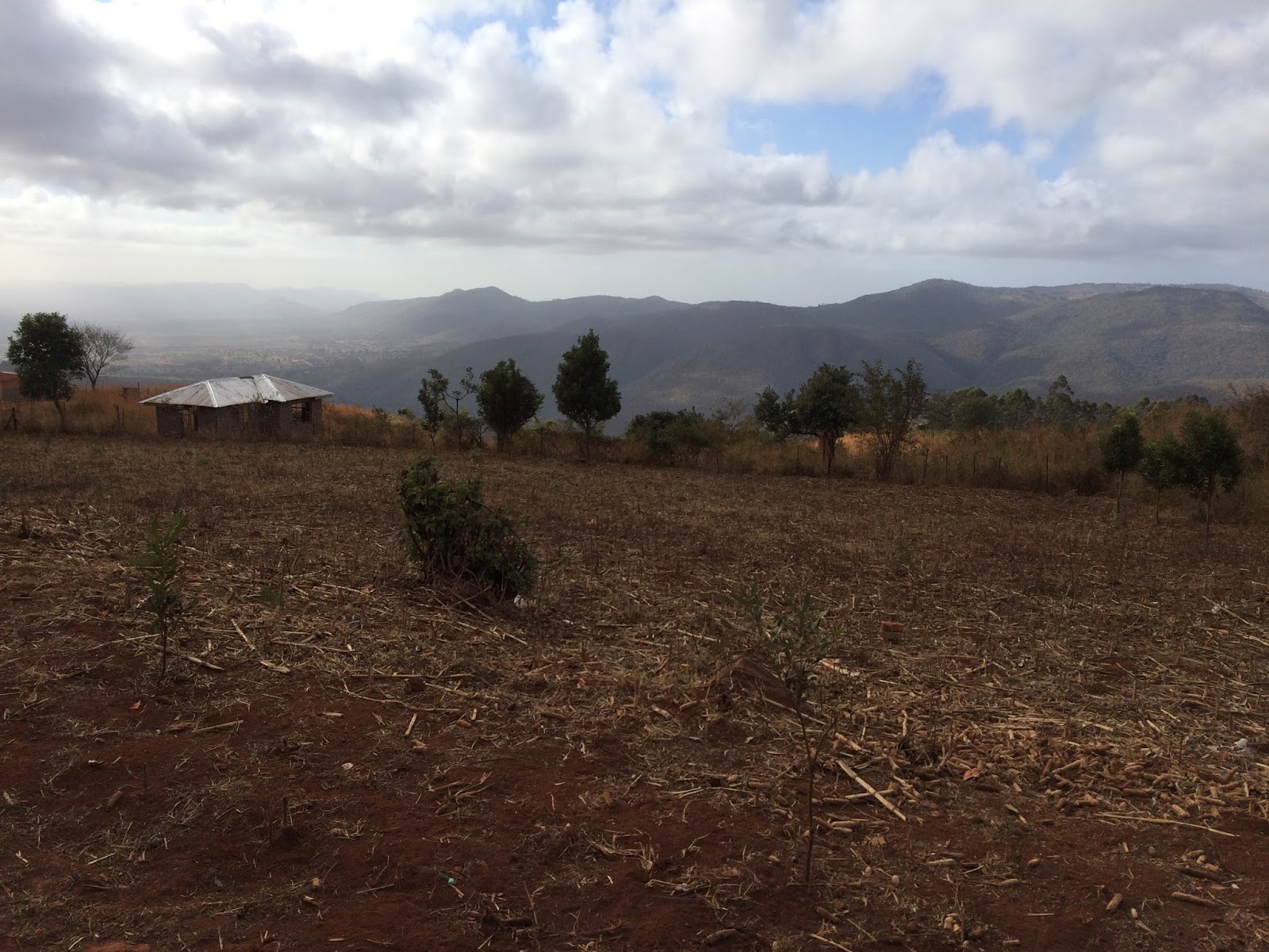 Ukuhamba Ukubona [to walk is to see]: Site Visit - Dzimauli Mukondeni