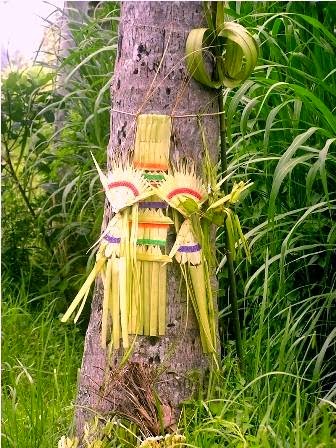 Tumpek Bubuh / Tumpek Wariga Mengingatkan Umat untuk Merawat Alam ...