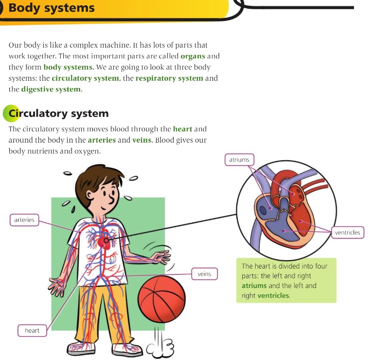 Social / Natural Science Year 3: Unit 1. Pages 7-11