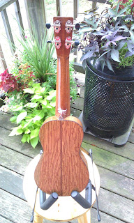 The Luthier's Apprentice: Ukulele Summer