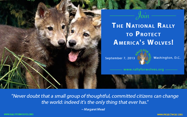 White Wolf : You are invited: The National Rally to Protect America’s ...