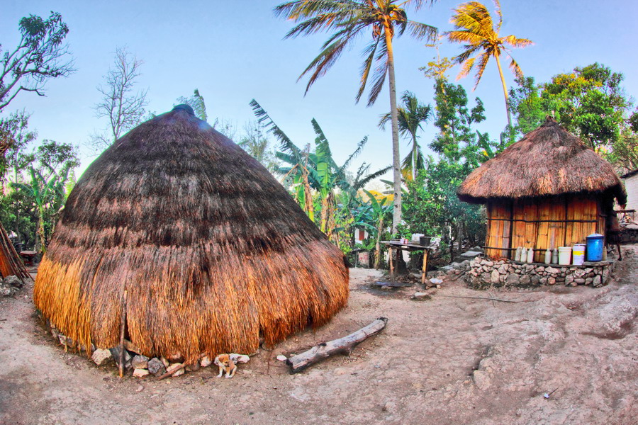 Ume Kbubu the Legacy of Timor Island - Dhavers